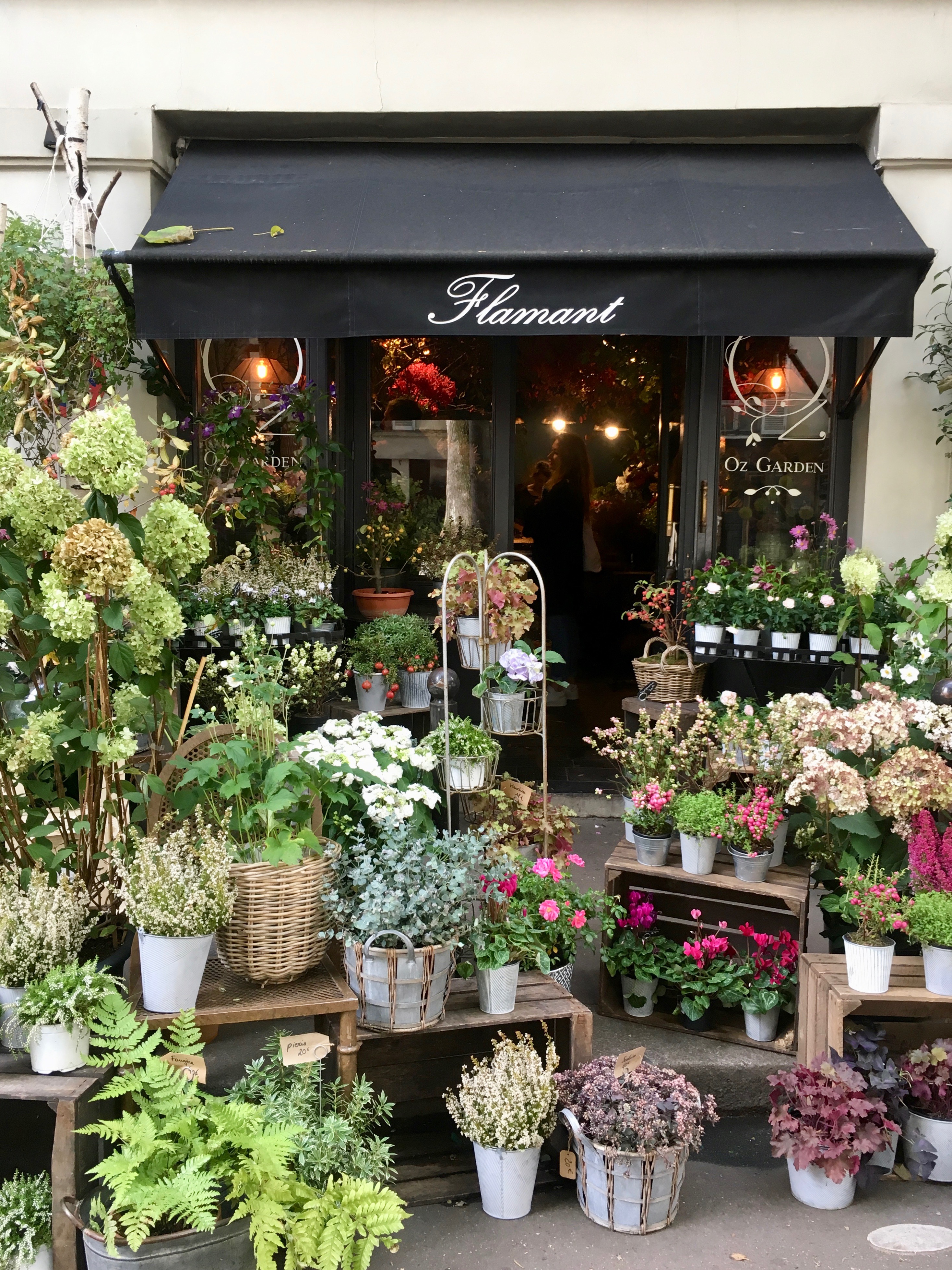 Liznylon_visits_Flamant_Paris – liznylon designs